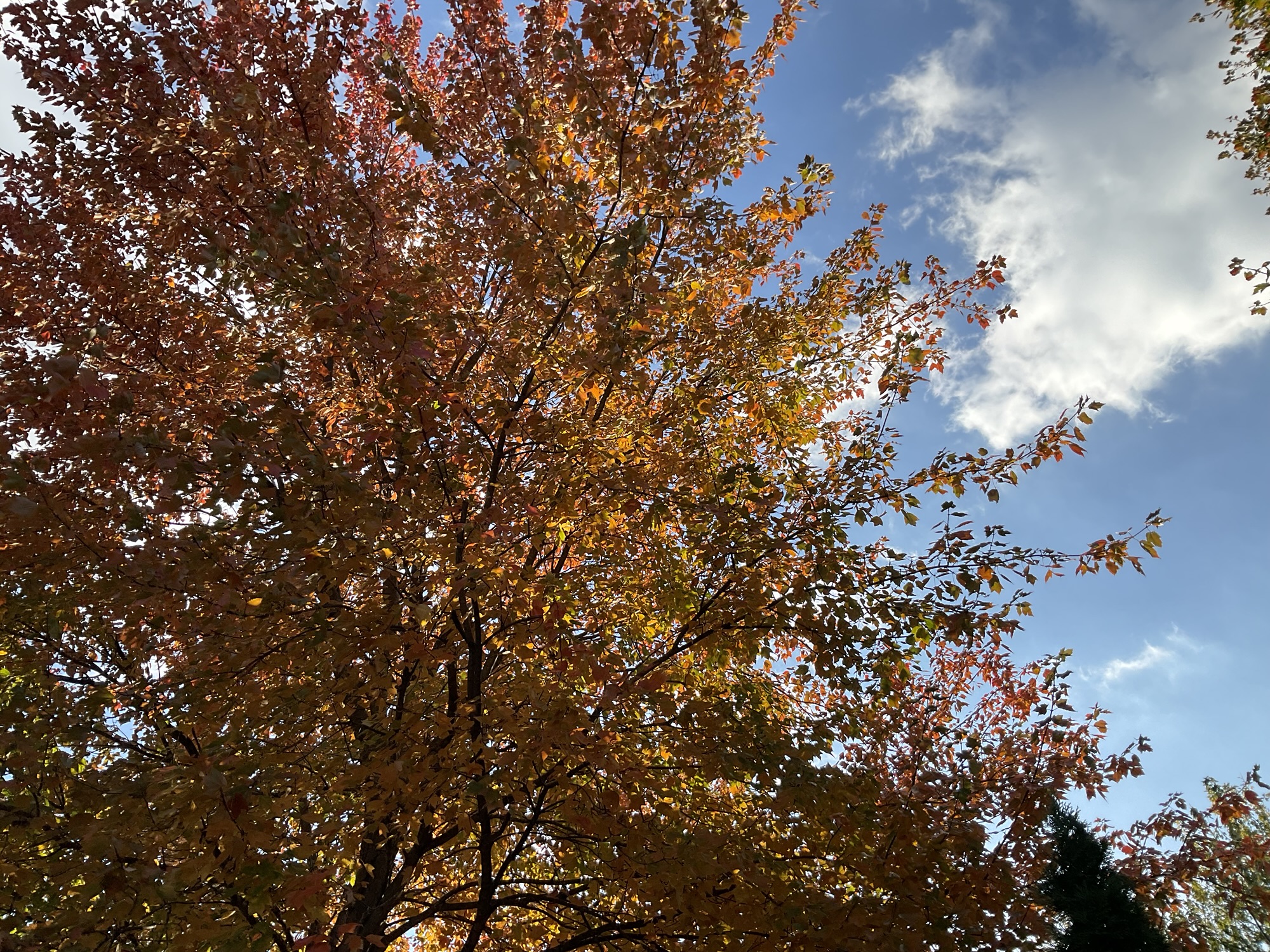 One Day We Were Done – Clare Graith